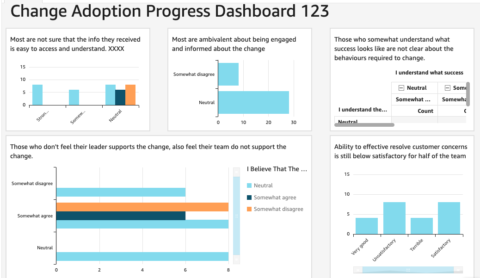 Designing a Change Adoption Dashboard: A Guide for Change Managers ...
