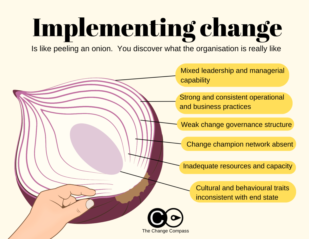 The Peeling the Onion Protocol: Key to Change Management